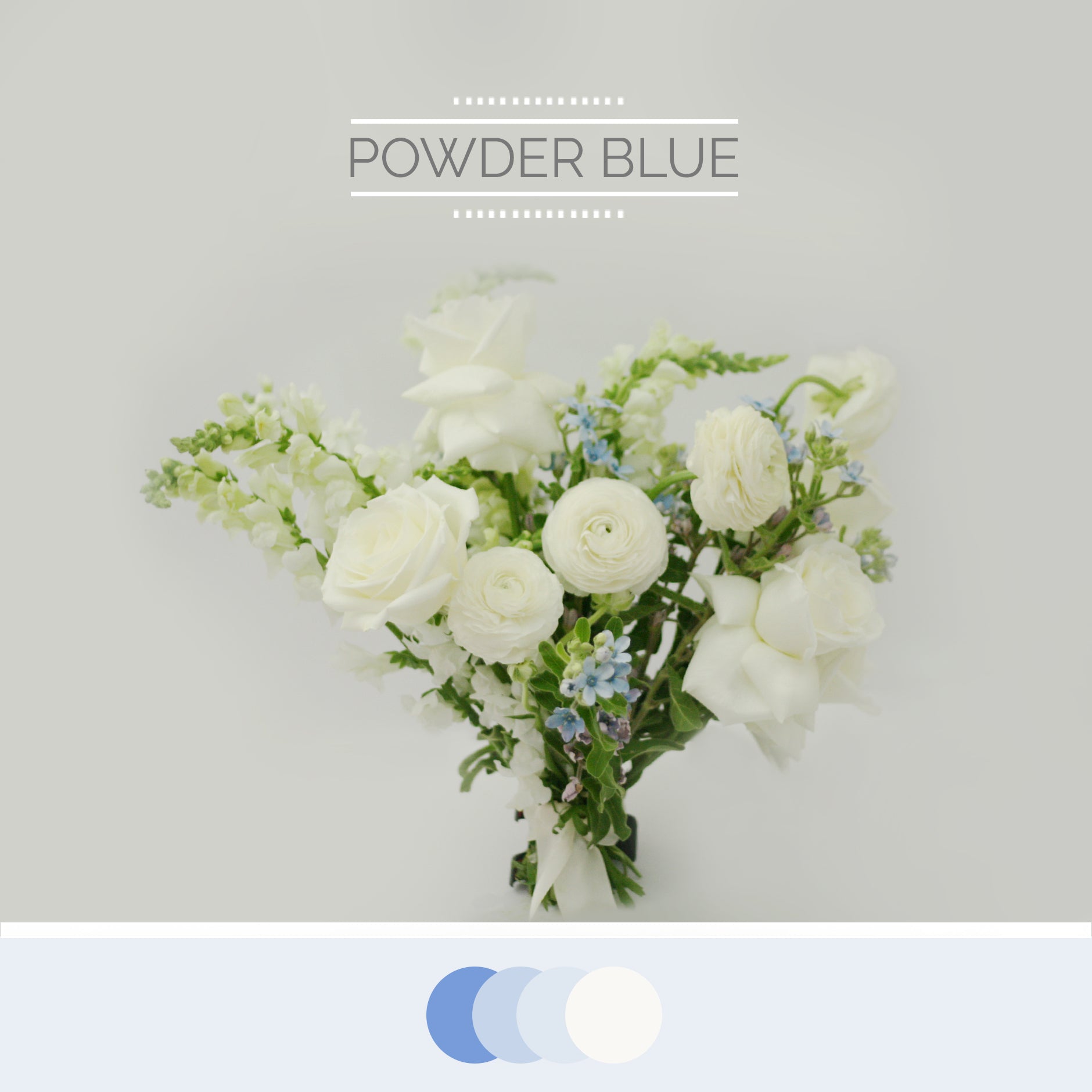 Powder Blue – Lace and Bloom